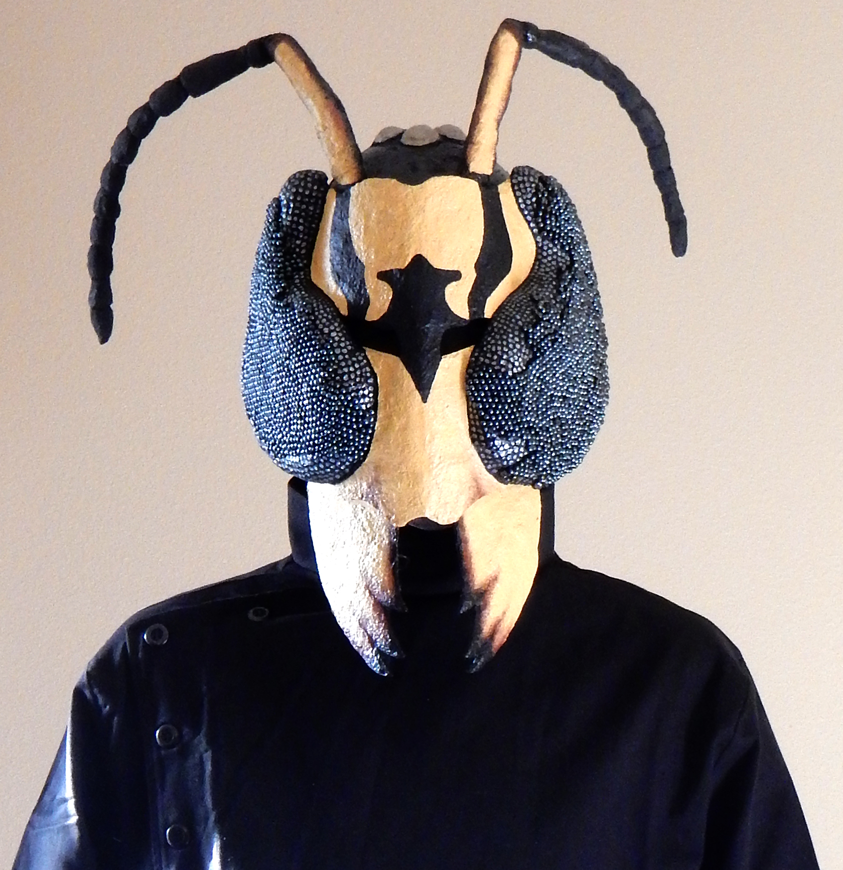 Pupating Lab - Barrett Klein