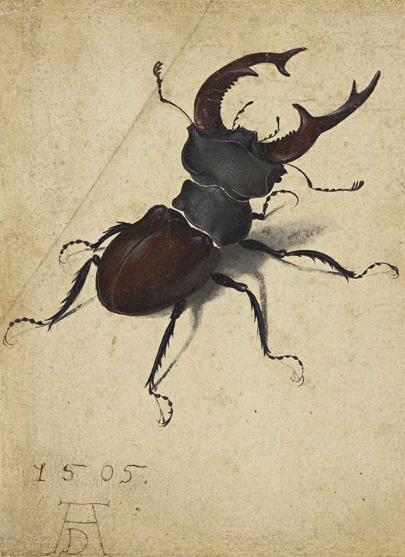 Publications | Barrett Klein