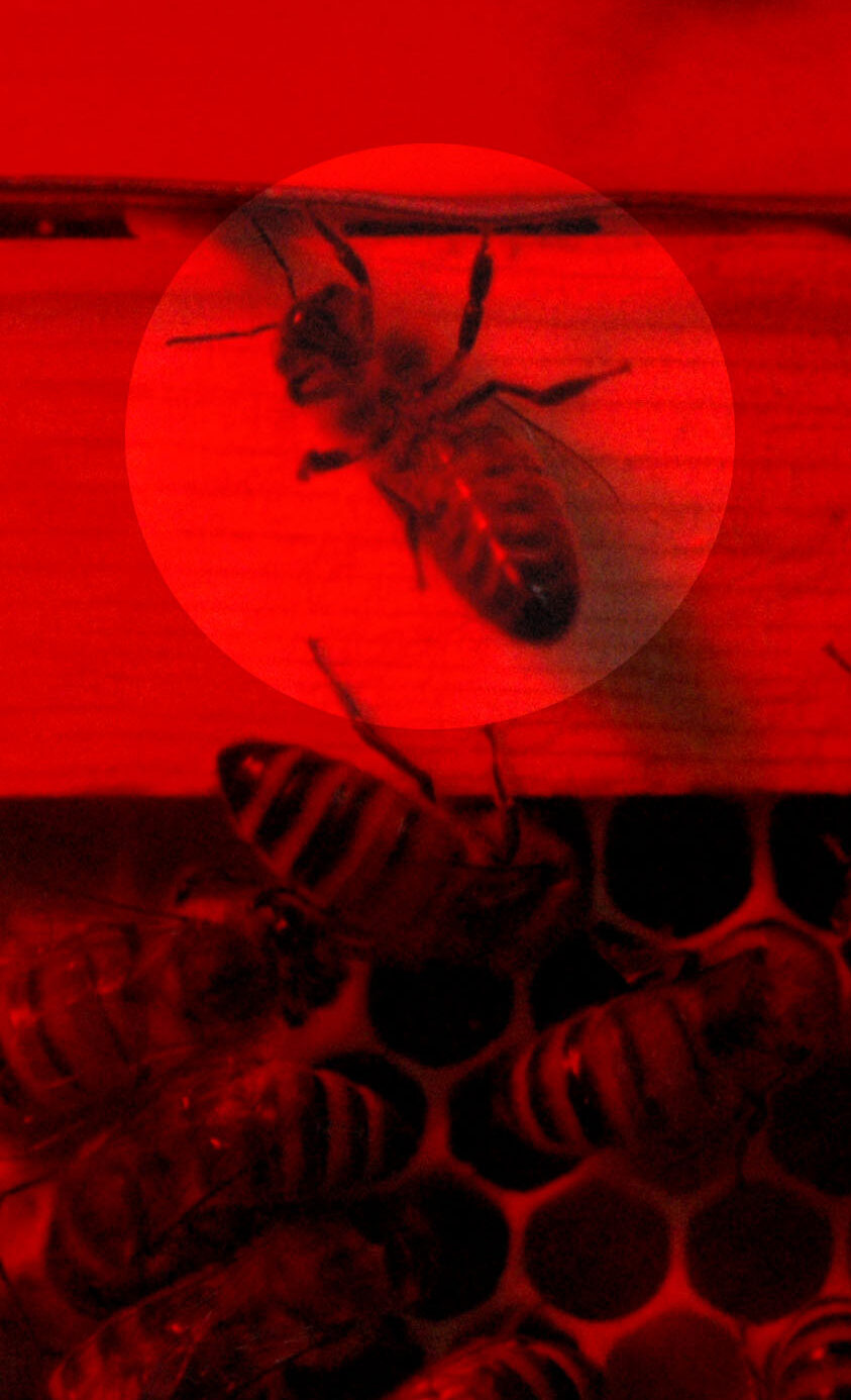 Publications | Barrett Klein